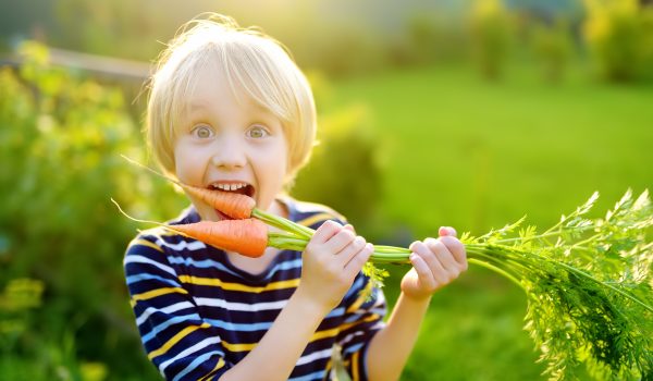 Kartoffeln haben (fast) immer Saison! - Swissfamily